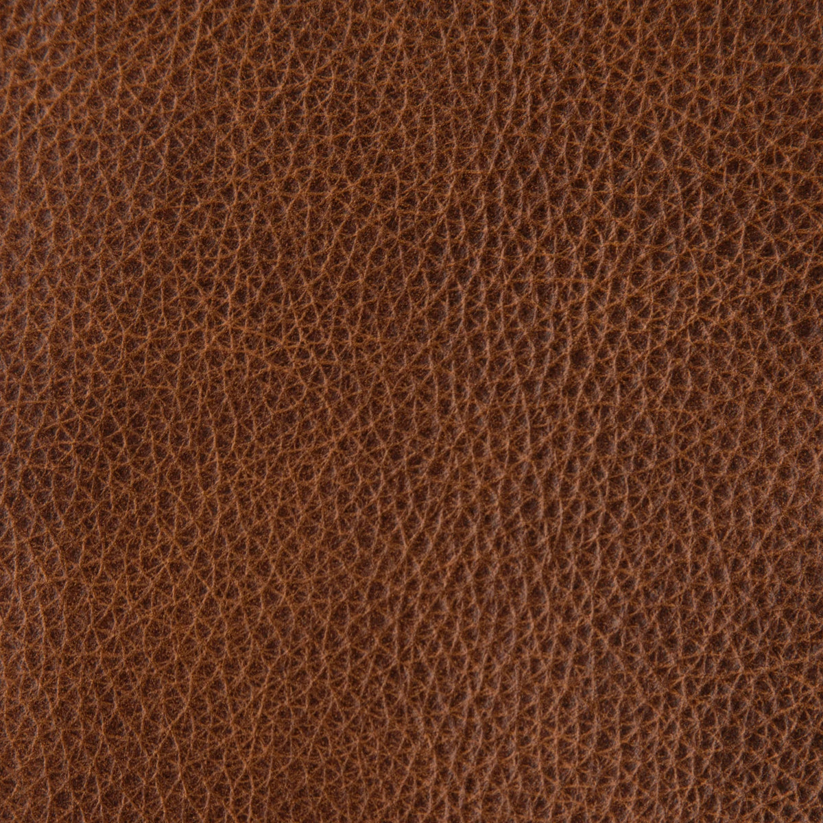 King Ranch Brown Leather – Freewheelin Co.